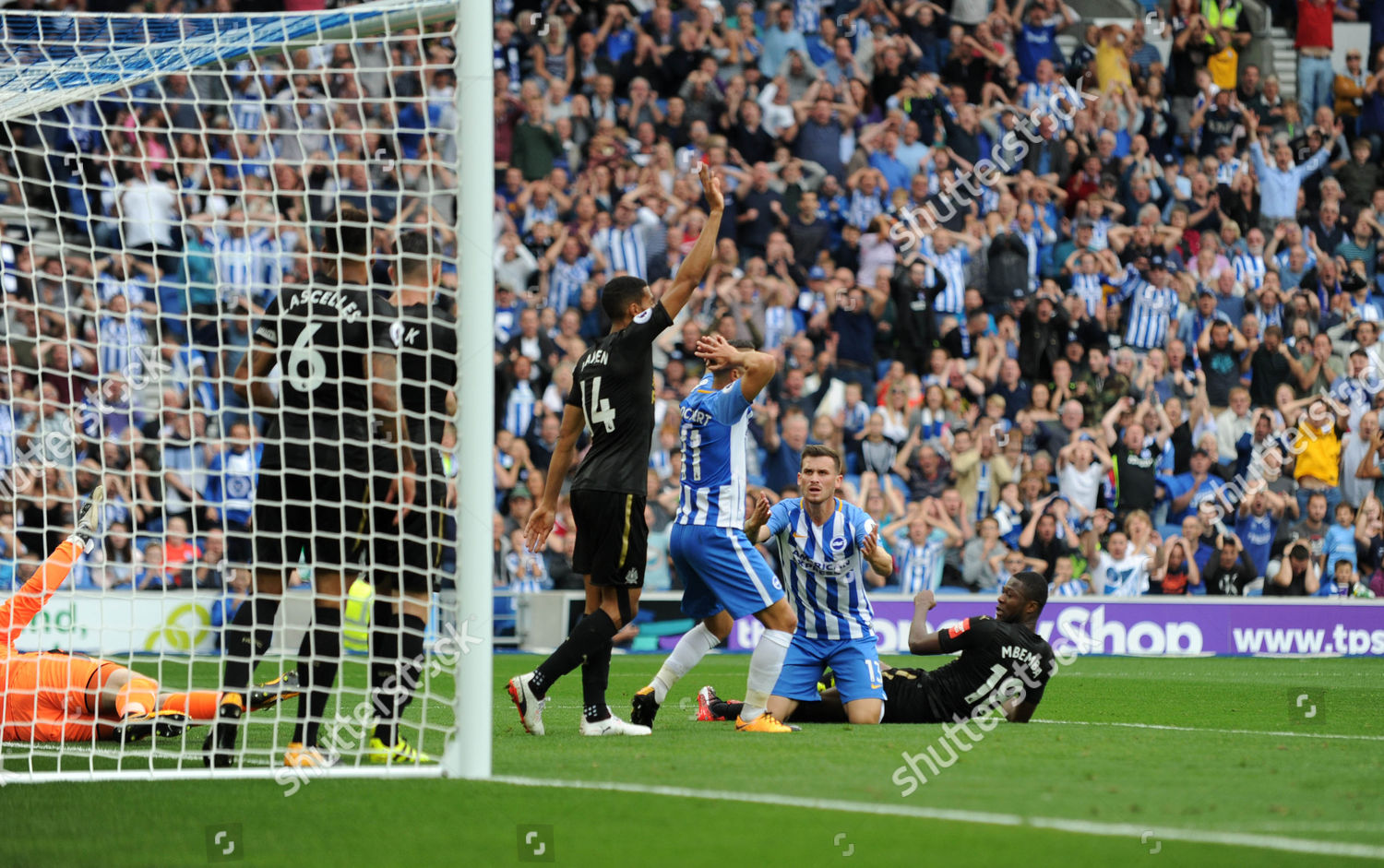 Anthony Knockaert Pascal Grob Brighton Cannot Editorial Stock Photo ...