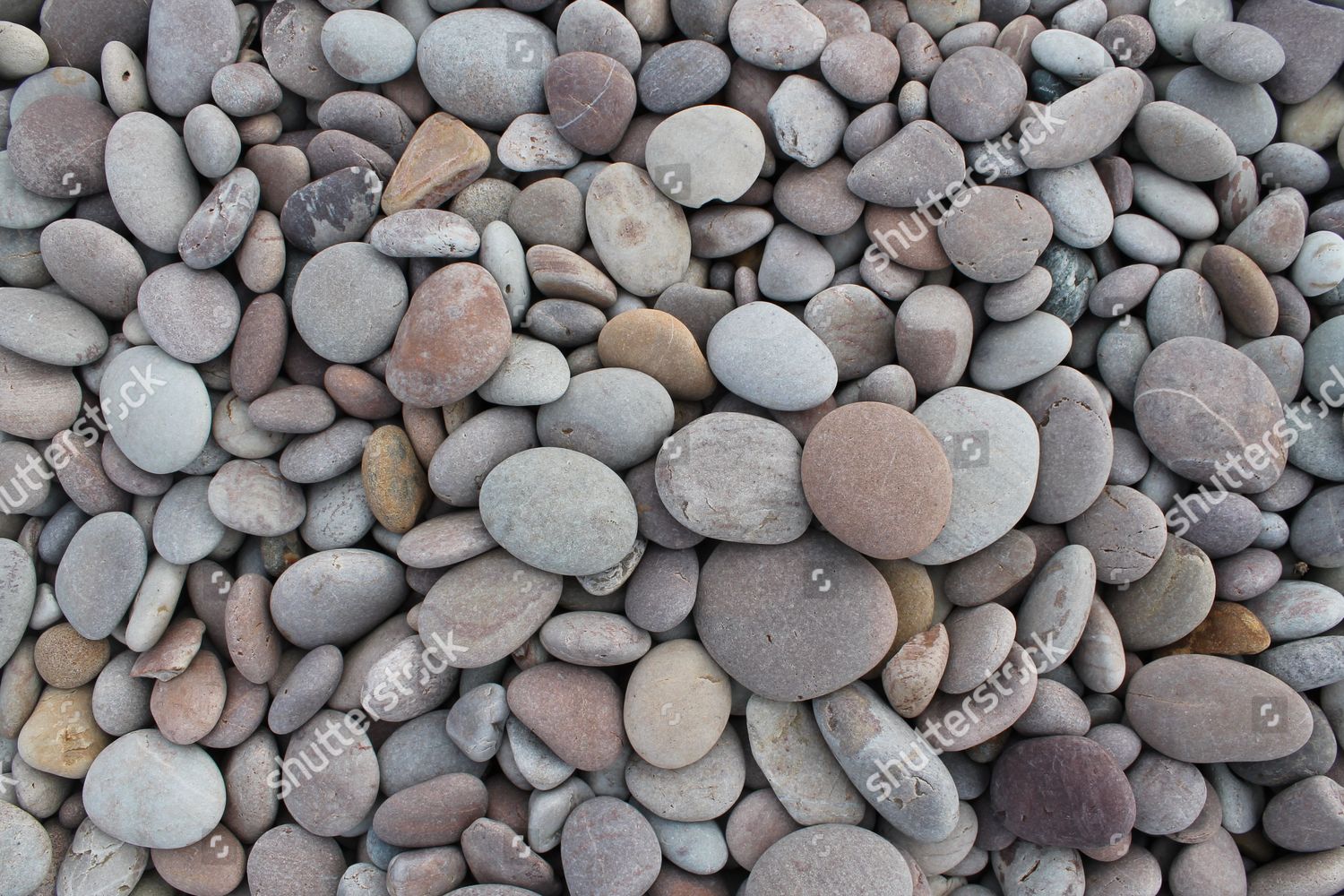 Closeup Pebbles On Budleigh Salterton Beach Editorial Stock Photo ...