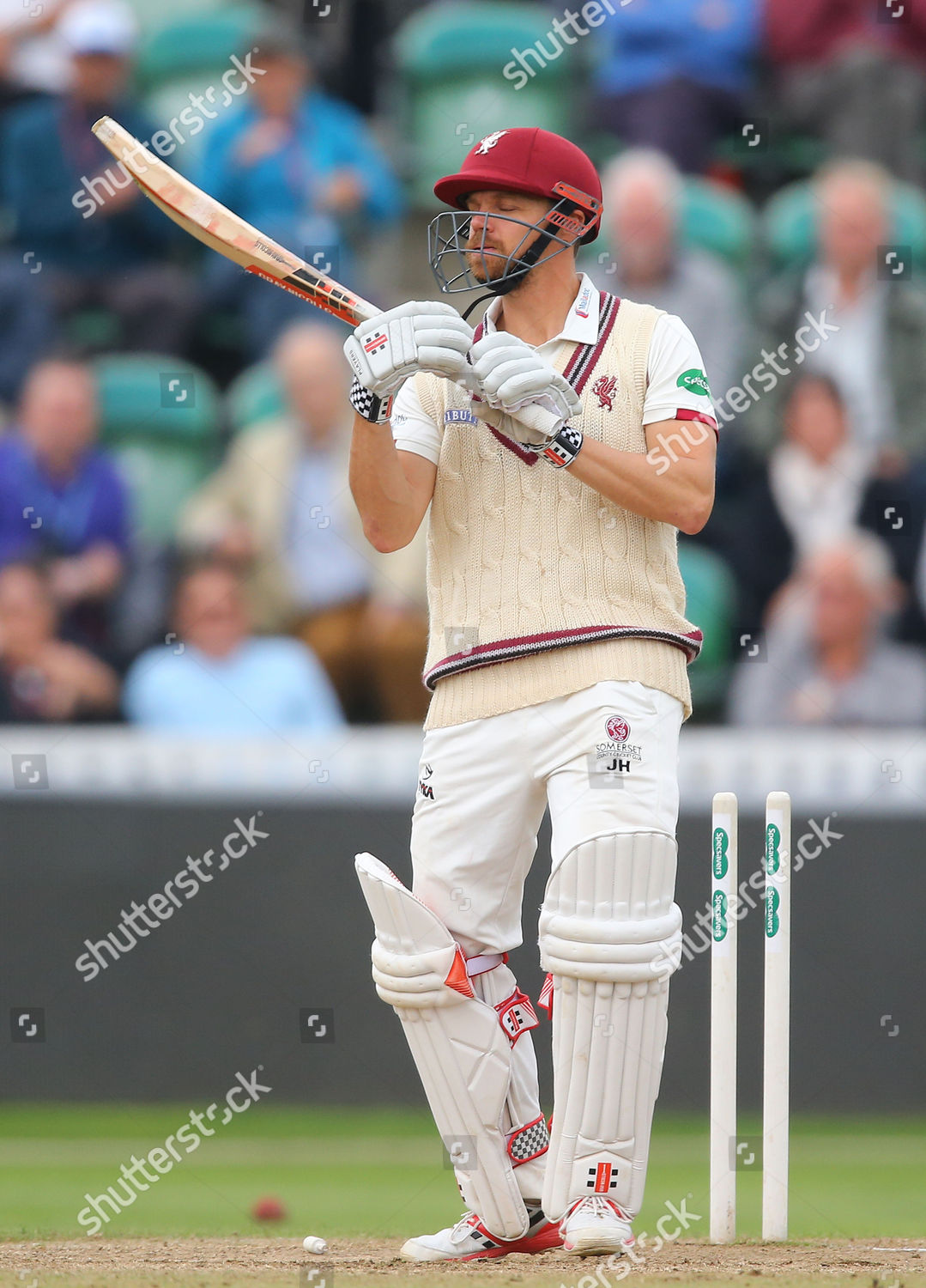 James Hildreth Somerset Cricket Shows His Editorial Stock Photo - Stock ...