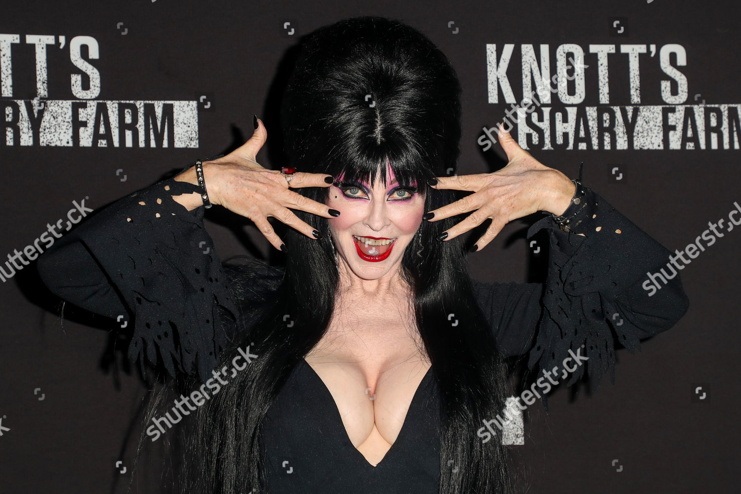 Cassandra Peterson Elvira Editorial Stock Photo - Stock Image | Shutterstock