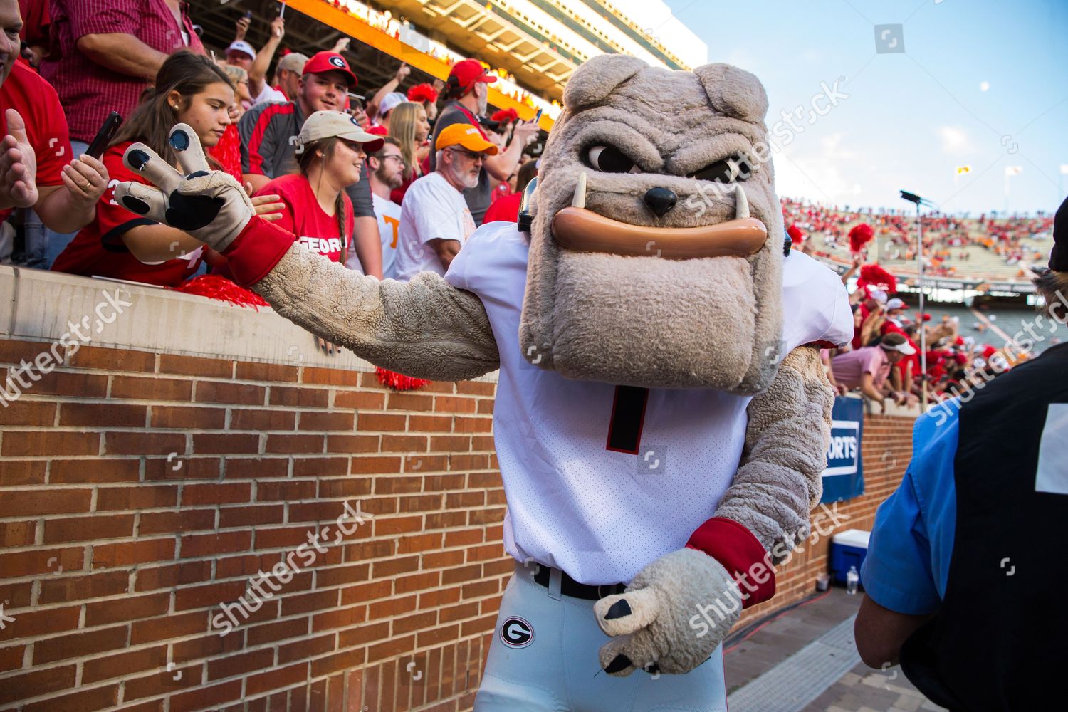 Georgia Bulldogs Mascot Uga After Ncaa Editorial Stock Photo - Stock ...