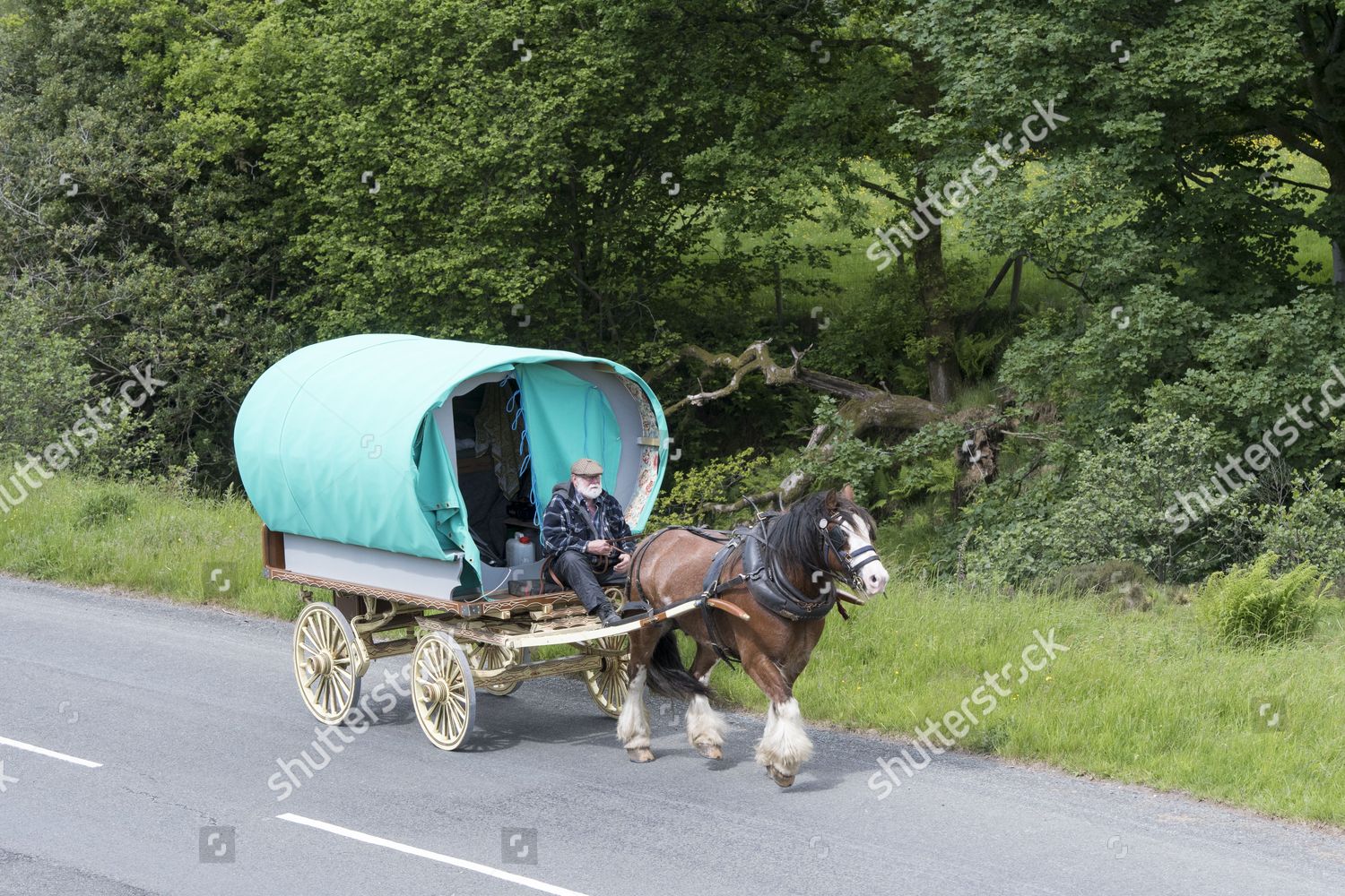 Gypsy Travellers Horse Drawn Caravan On Editorial Stock Photo - Stock ...