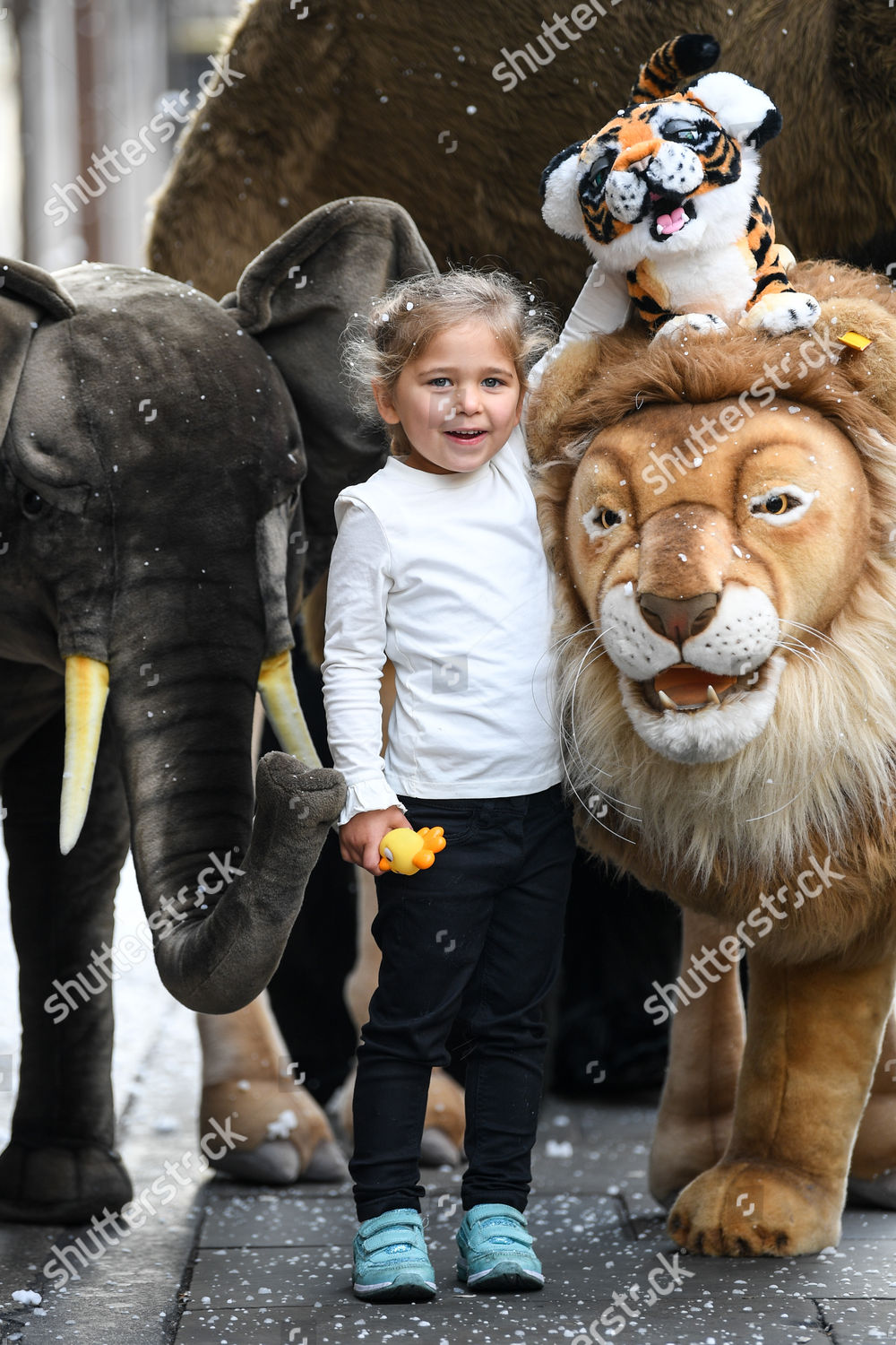 Harriet Whale 3 Poses Tyler Playful Editorial Stock Photo - Stock Image ...