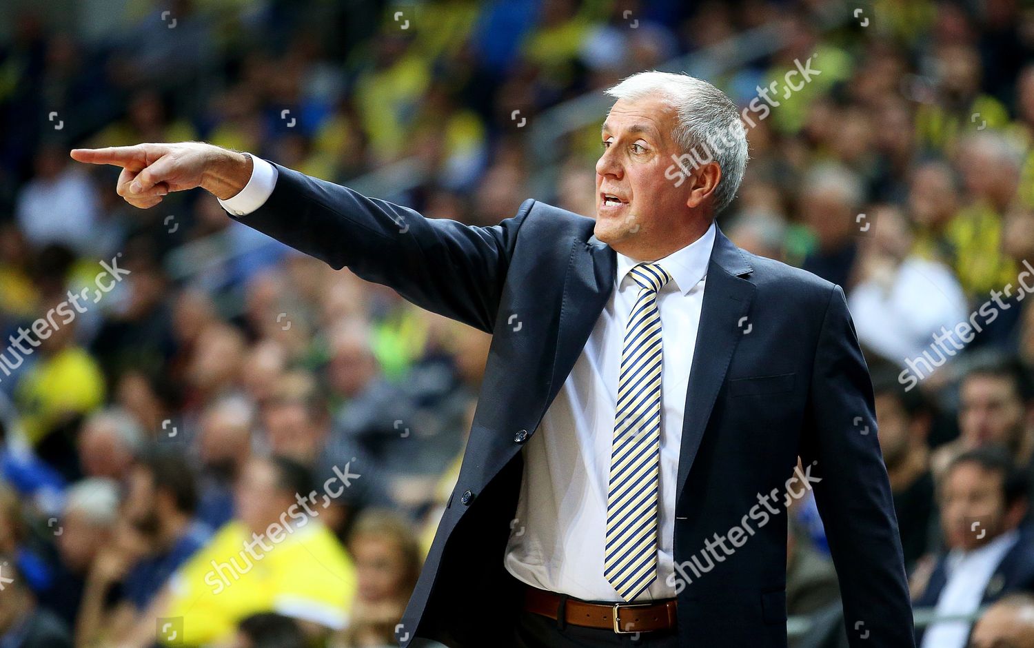 Zelimir Obradovic Editorial Stock Photo - Stock Image | Shutterstock