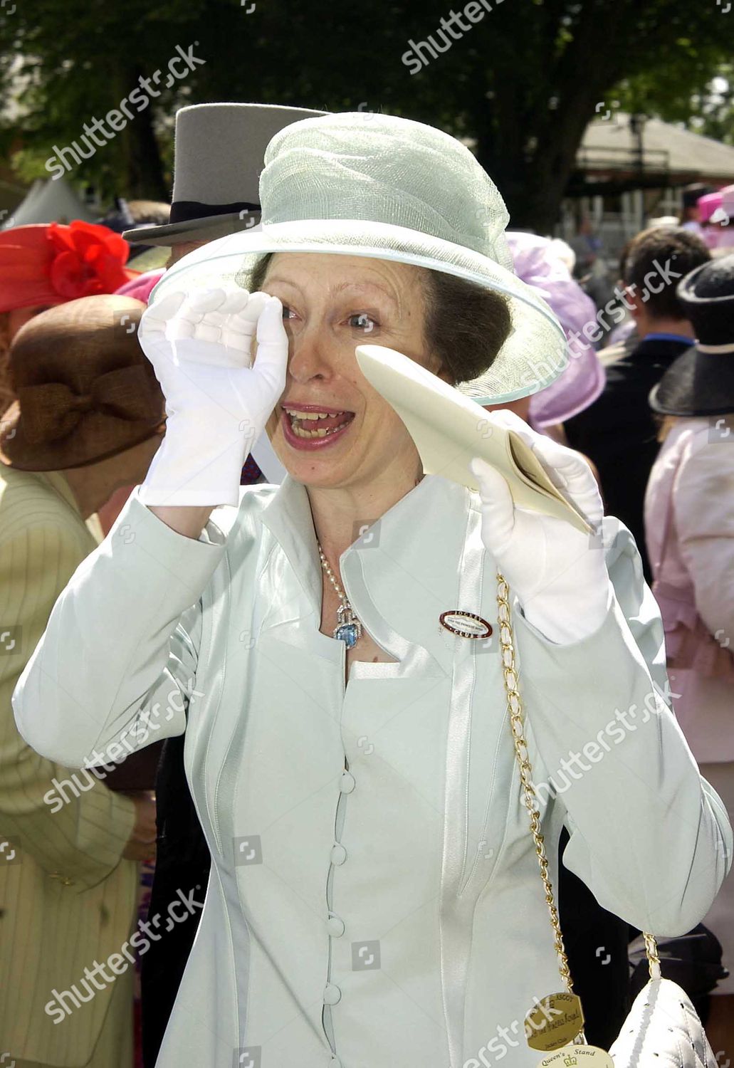 Hrh Anne Princess Royal Editorial Stock Photo - Stock Image | Shutterstock
