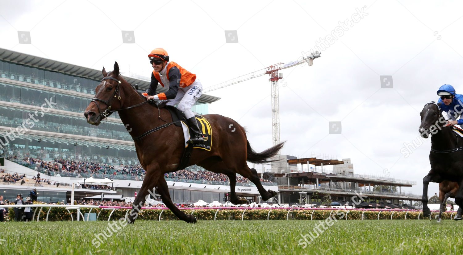 Chris Symonds Rides Prezado Victory Race Editorial Stock Photo - Stock ...