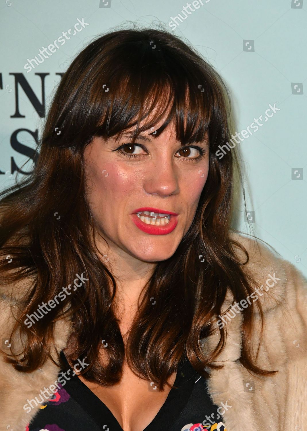 Vikki Stone Editorial Stock Photo - Stock Image | Shutterstock