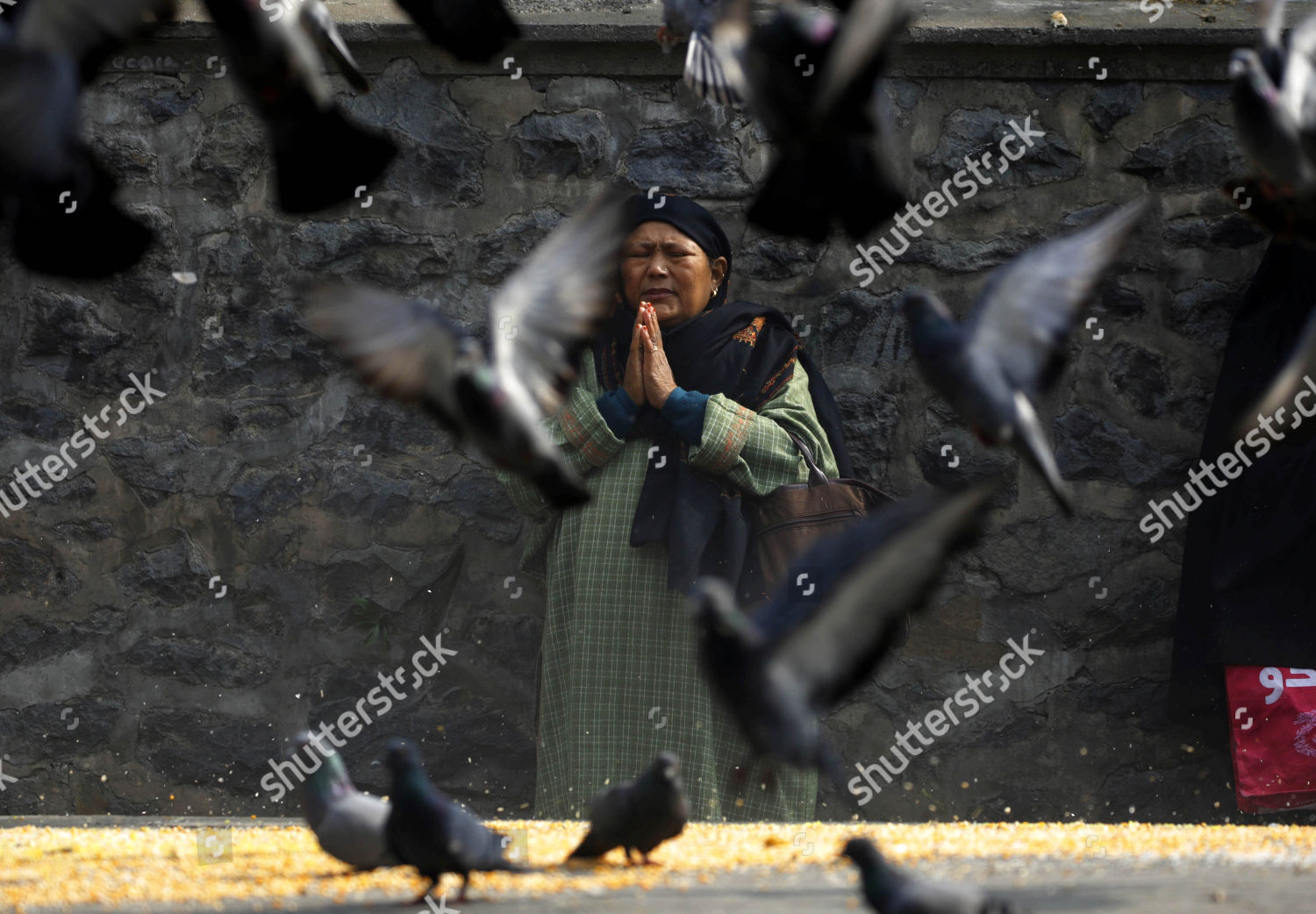 Pigeons Fly Kashmiri Muslim Woman Prays Editorial Stock Photo - Stock ...