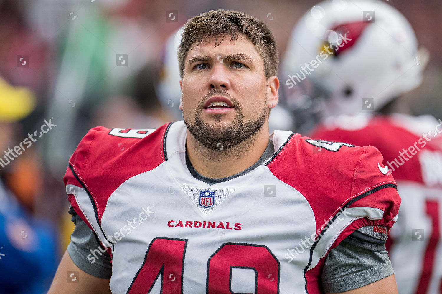 Arizona Cardinals Long Snapper Justin Drescher Editorial Stock Photo ...