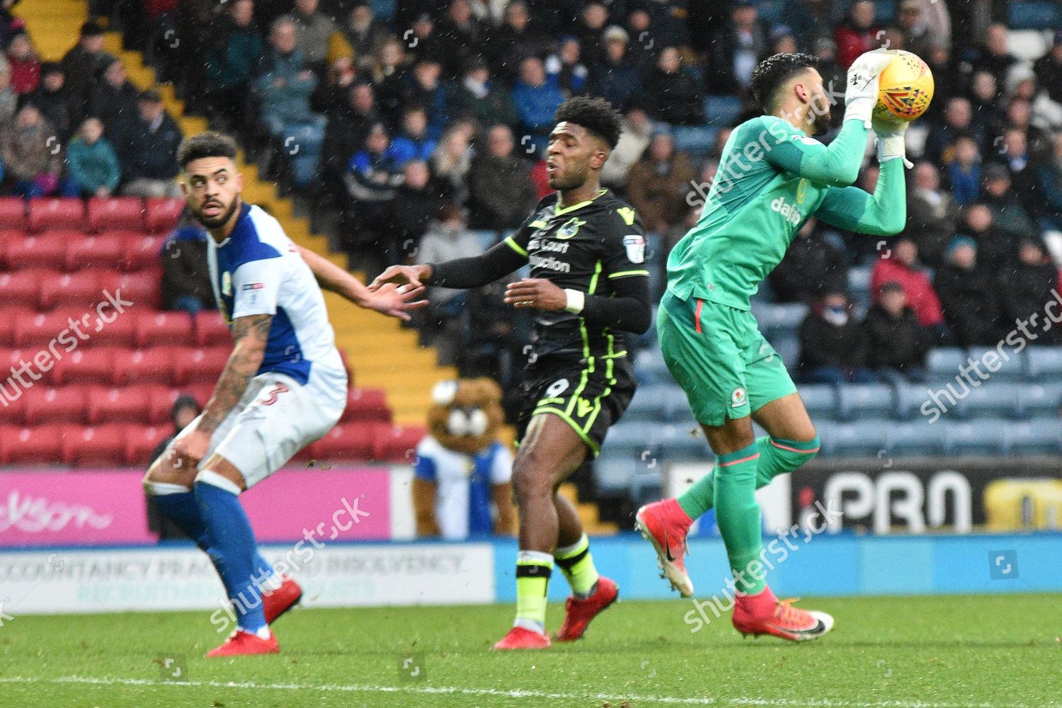Blackburn Rovers Goalkeeper David Raya 1 Editorial Stock Photo - Stock ...