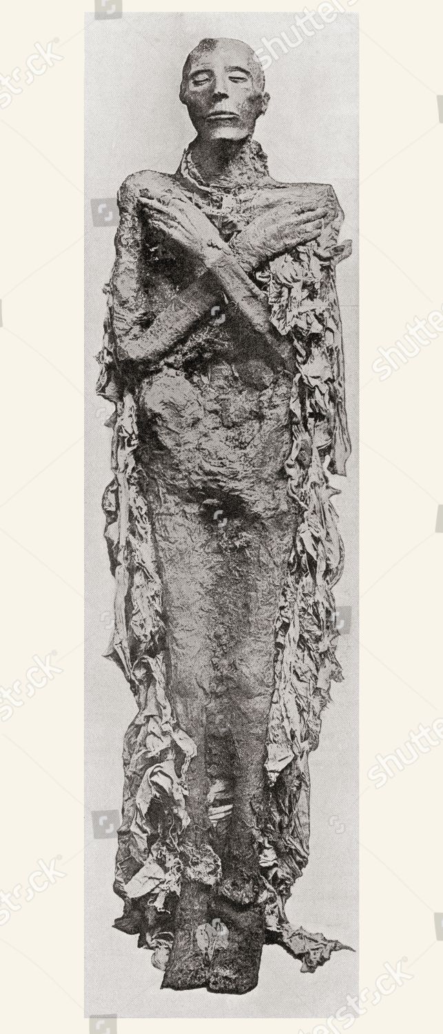 Mummy Seti Menmaatre Seti Sethos Pharaoh Editorial Stock Photo - Stock ...