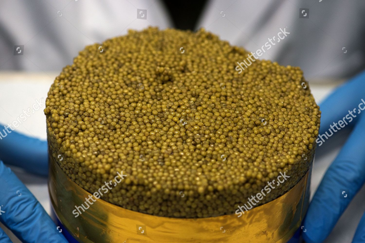 Canned Caviar Pictured French Neuvic Caviar Editorial Stock Photo ...