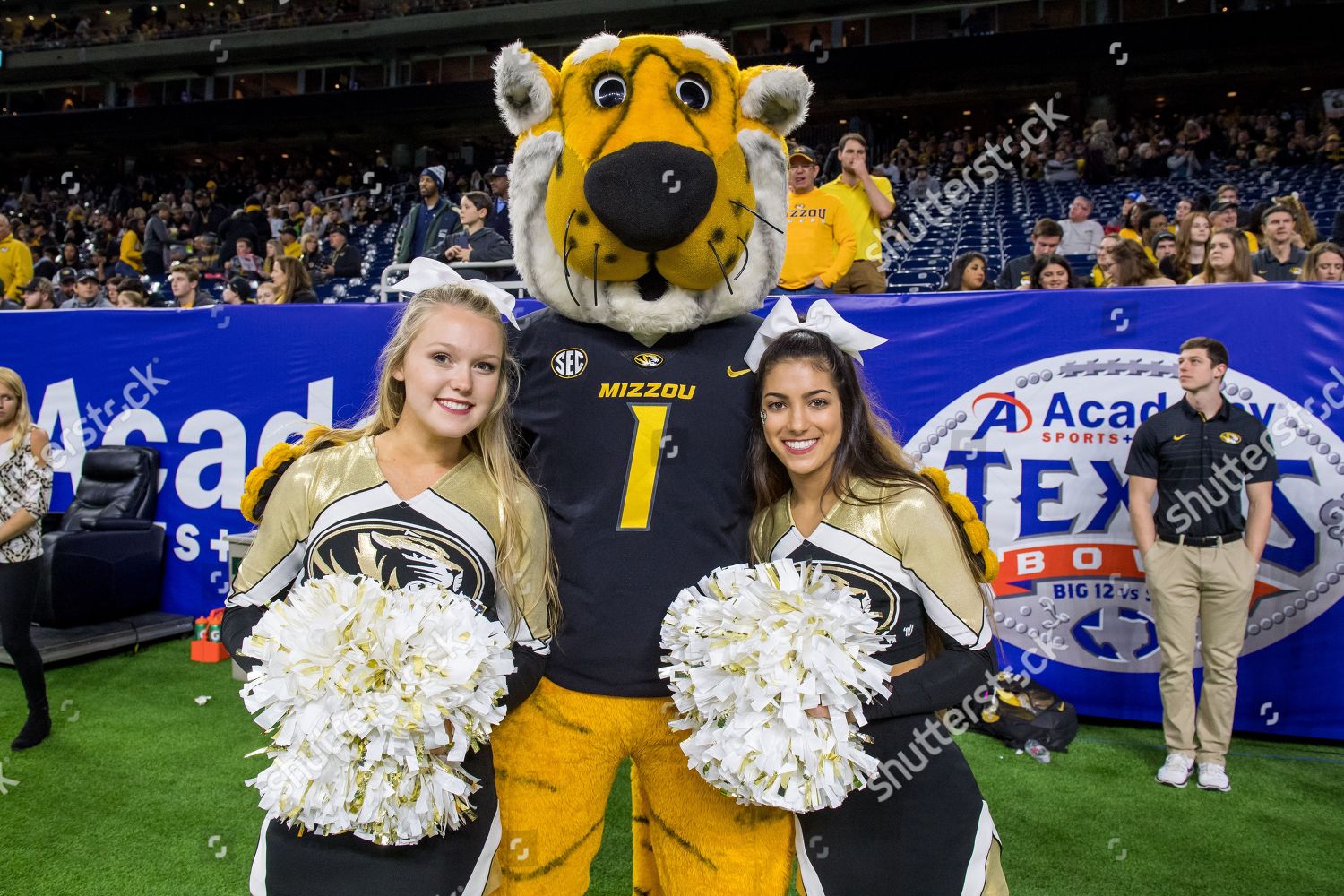 Missouri Tigers Mascot Truman Tiger Stands Editorial Stock Photo ...
