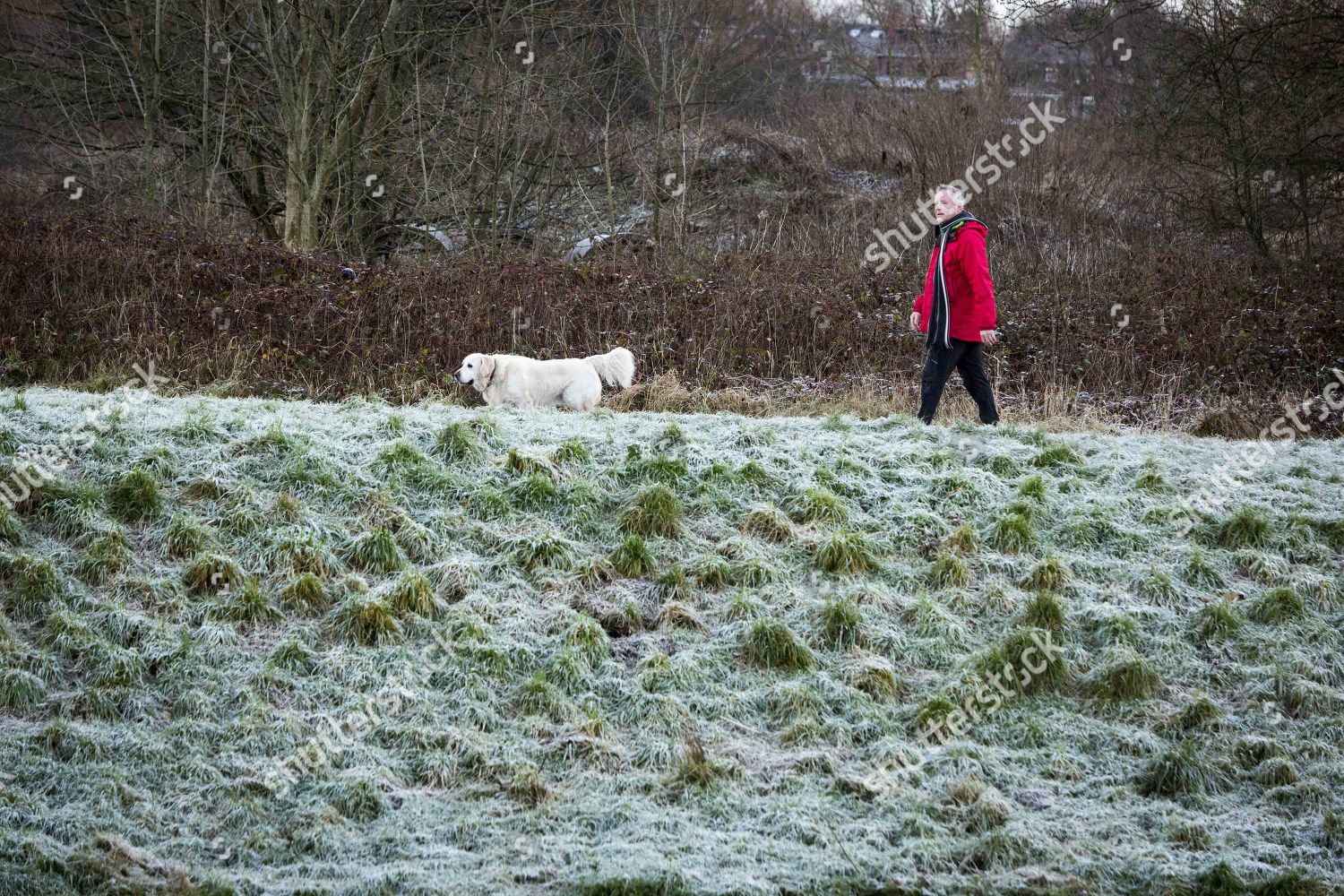 Sub Zero Temperatures Overnight Made Frosty Editorial Stock Photo ...