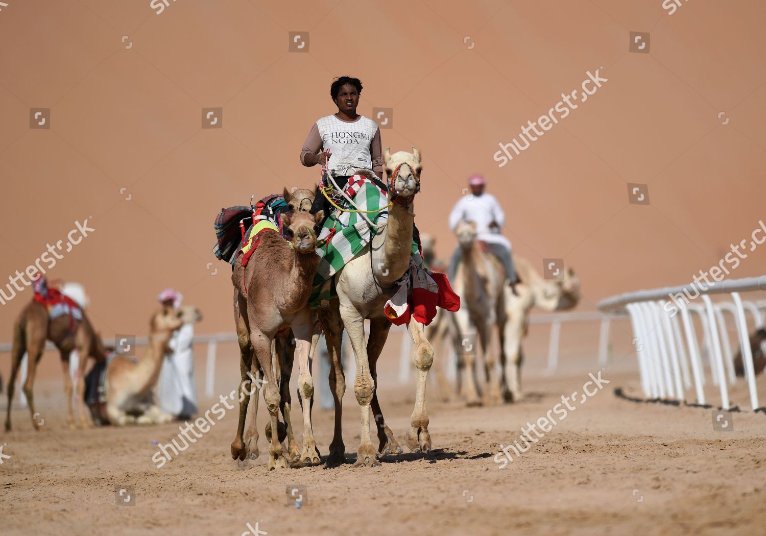 Men Ride Camels On Track After Editorial Stock Photo - Stock Image ...