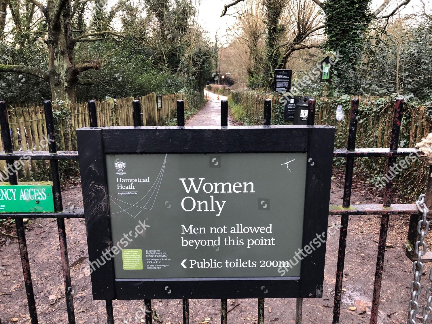 Ladies Pond On Londons Hampstead Heath Editorial Stock Photo - Stock ...