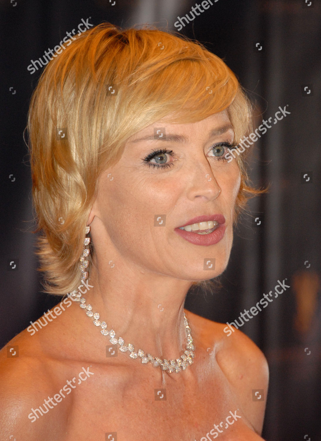 Sharon Stone Editorial Stock Photo - Stock Image | Shutterstock