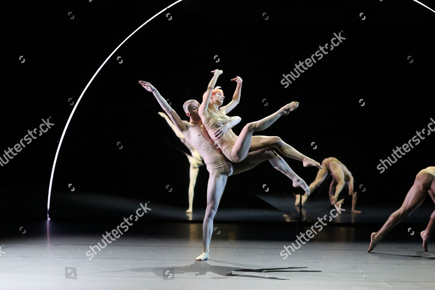 Contemporary Ballet Tree Codes Comes Sydney Editorial Stock Photo ...