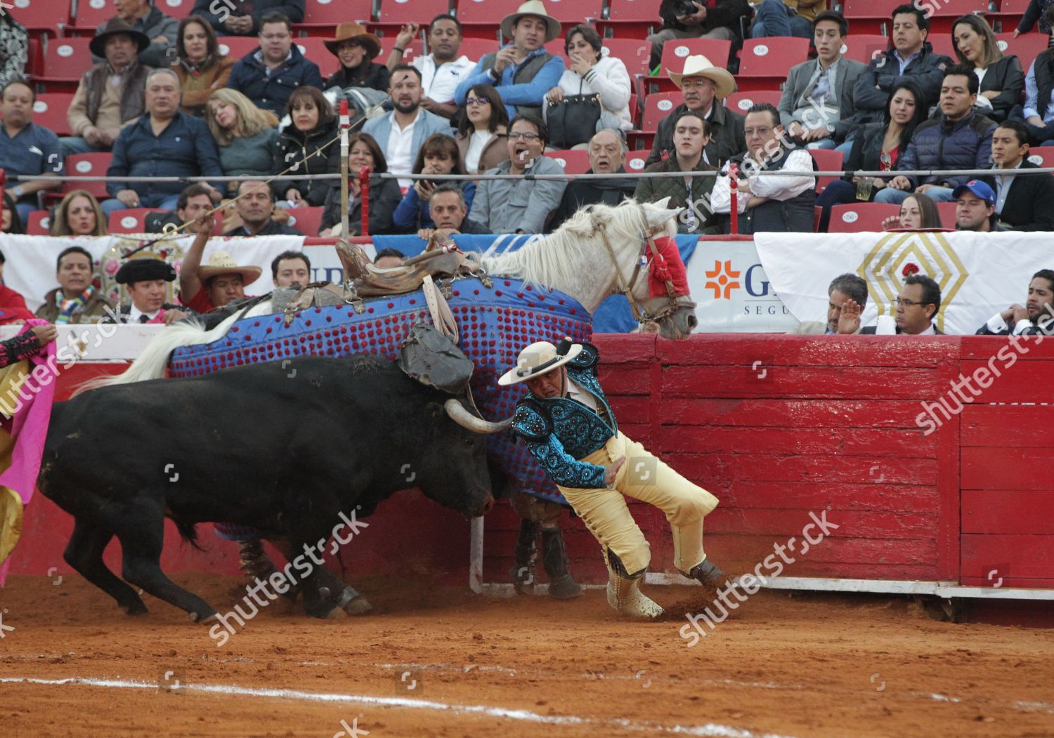 Bull Vaquero 523 Kilograms Charges Rejoneador Editorial Stock Photo ...