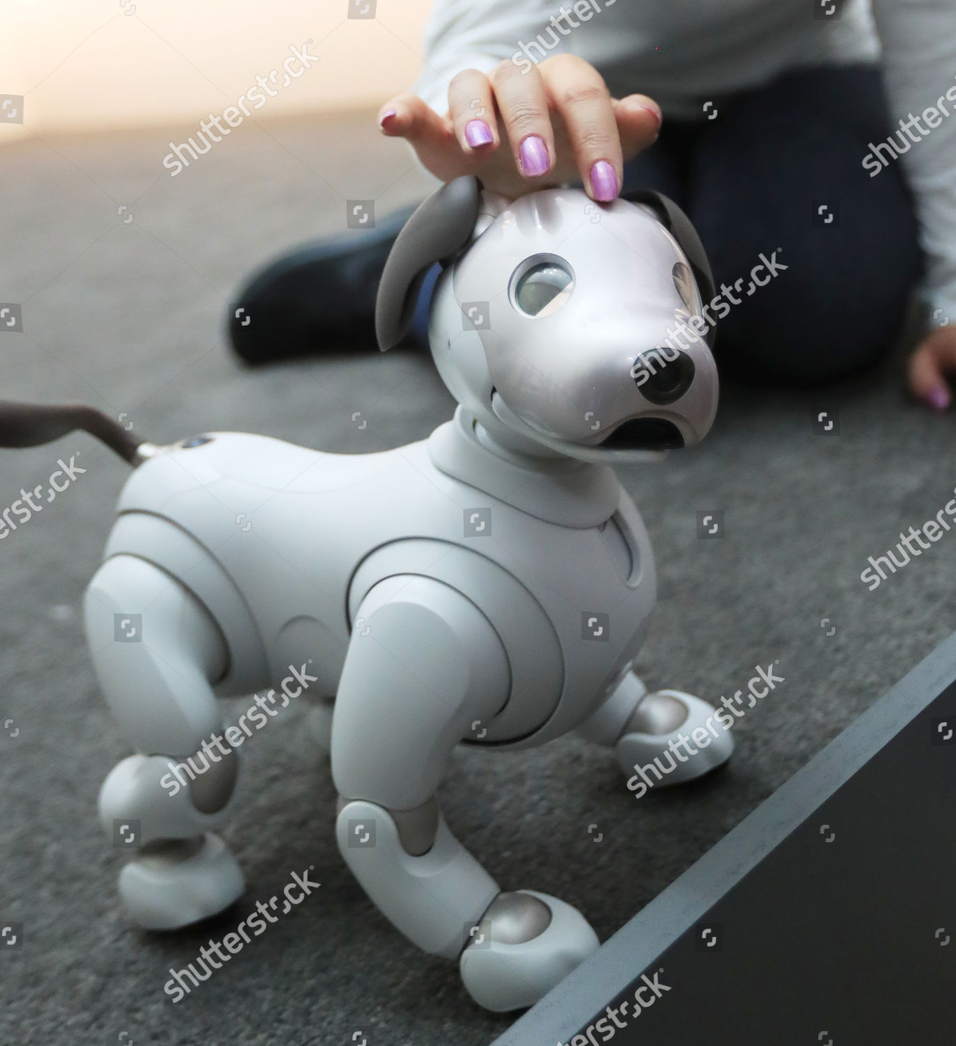 Sonys Aibo Robot Shown Consumer Electronics Editorial Stock Photo ...