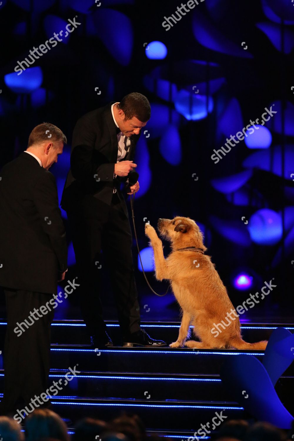Dermot Oleary Dog Editorial Stock Photo - Stock Image | Shutterstock
