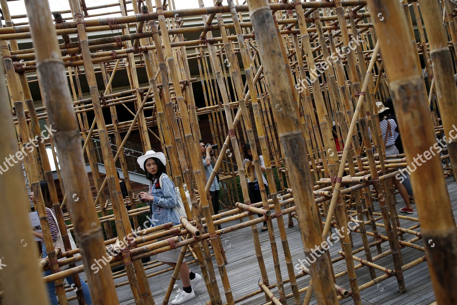 Members Media Walk Through Bamboo Maze Editorial Stock Photo - Stock ...