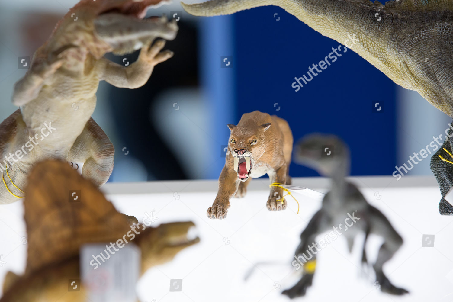 Figurines Prehistoric Animals On Display Toy Editorial Stock Photo ...
