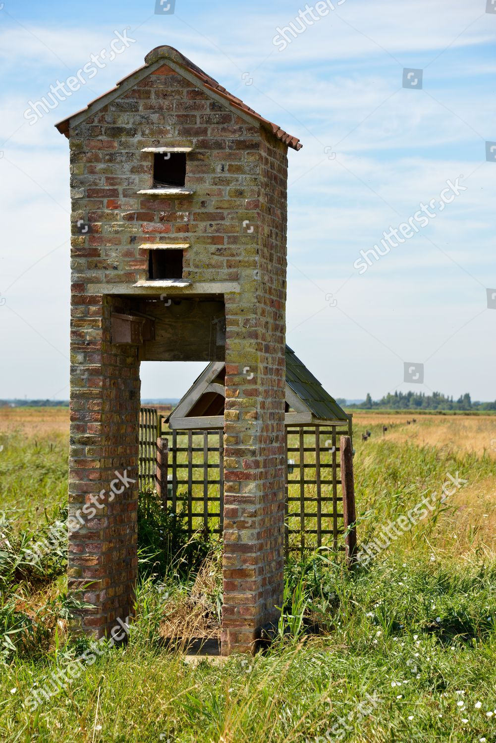 Barn Owl Tower Editorial Stock Photo - Stock Image | Shutterstock