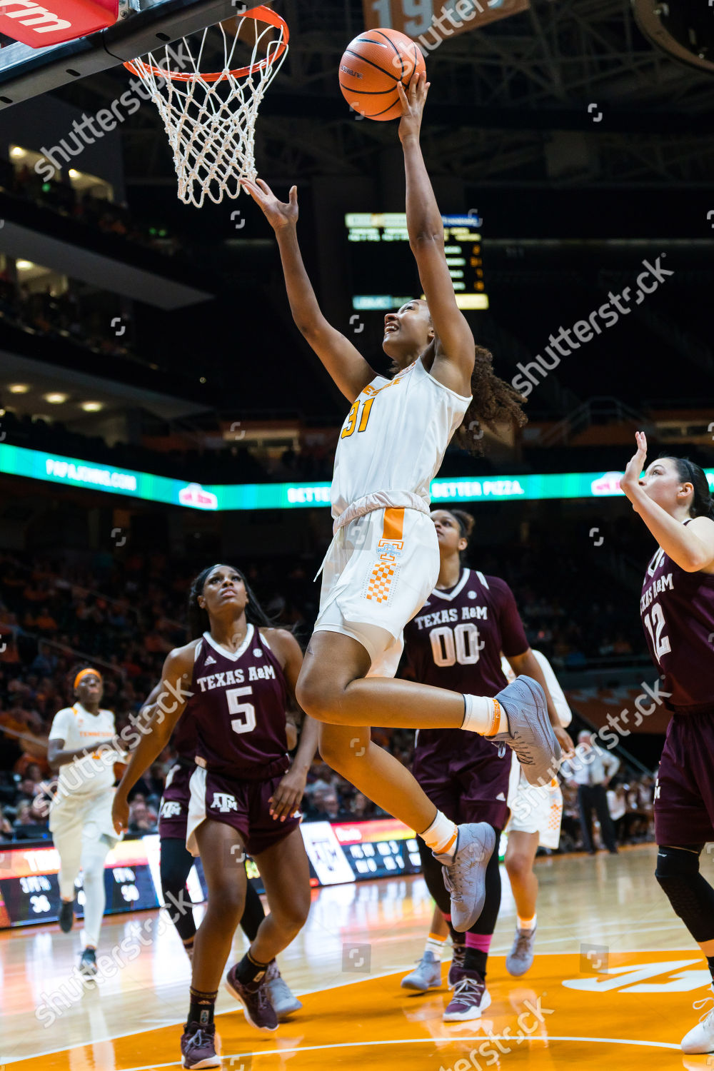Jaime Nared 31 Tennessee Lady Volunteers Editorial Stock Photo - Stock ...