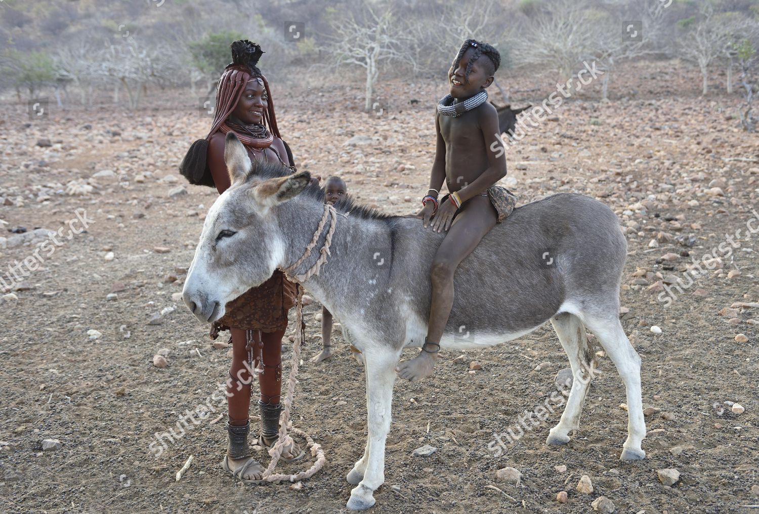 Married Himbafrau Girl On Donkey Kaokoveld Editorial Stock Photo ...