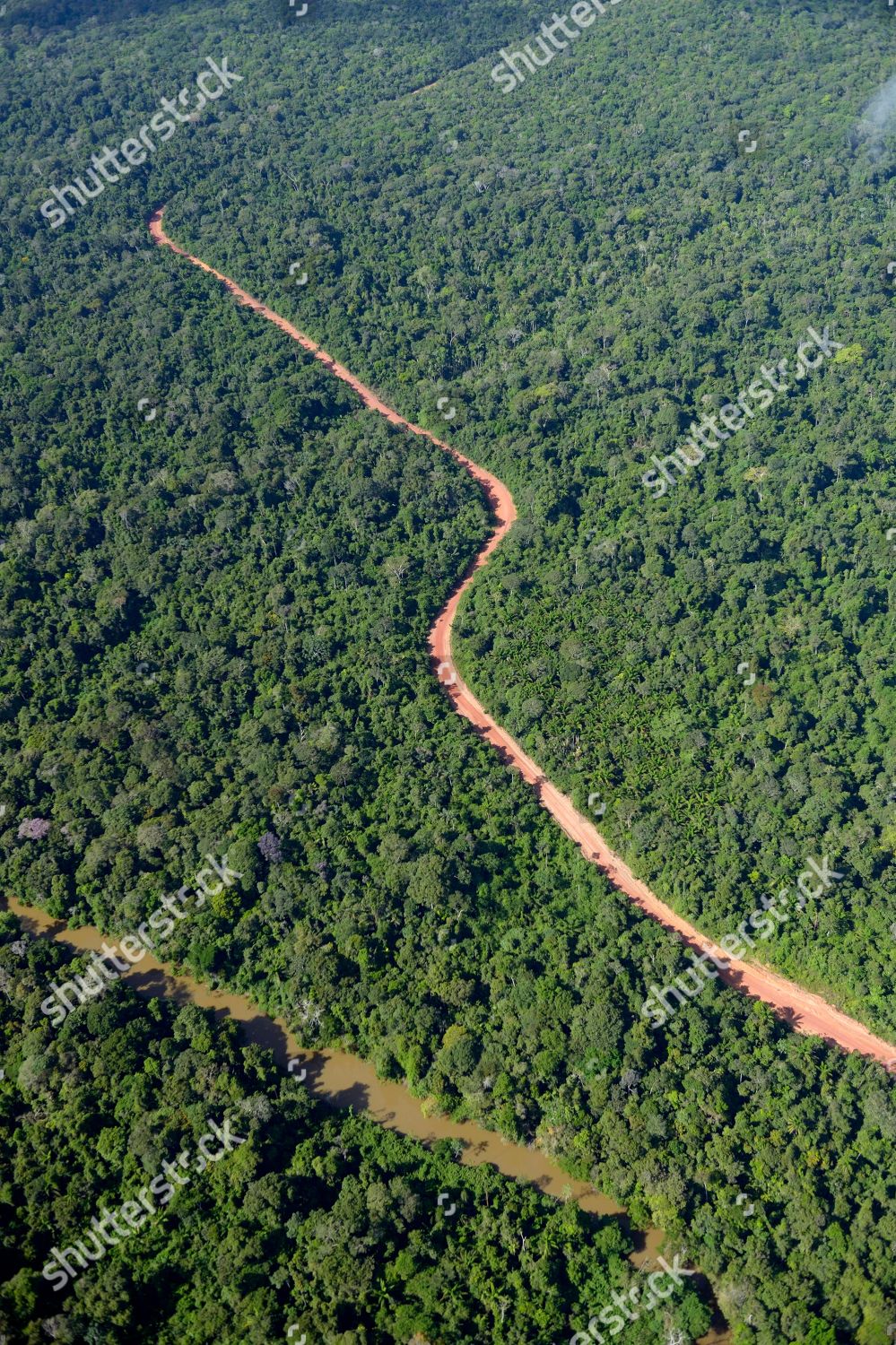 Road Through Amazon Rainforest Illegal Logging Editorial Stock Photo ...