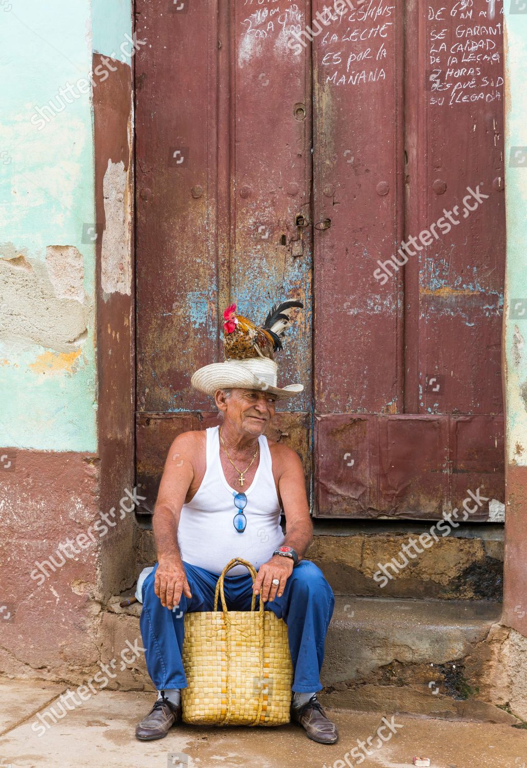 Aged Cuban Man Rooster On Head Editorial Stock Photo - Stock Image ...