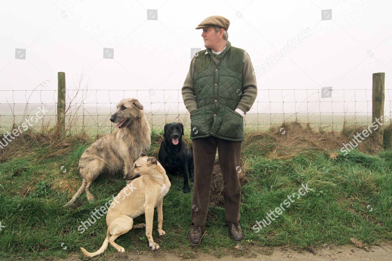 Trainer David Elsworth Whitcombe Manor Dorset Editorial Stock Photo ...