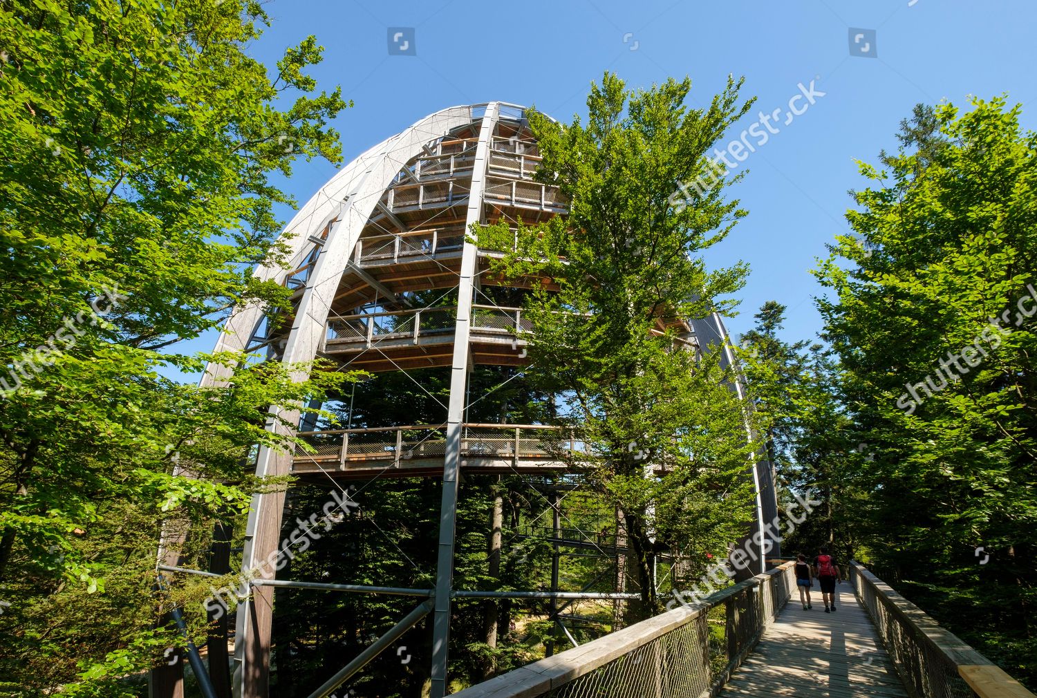 Tree Tower Tree Top Path Bavarian Editorial Stock Photo - Stock Image ...