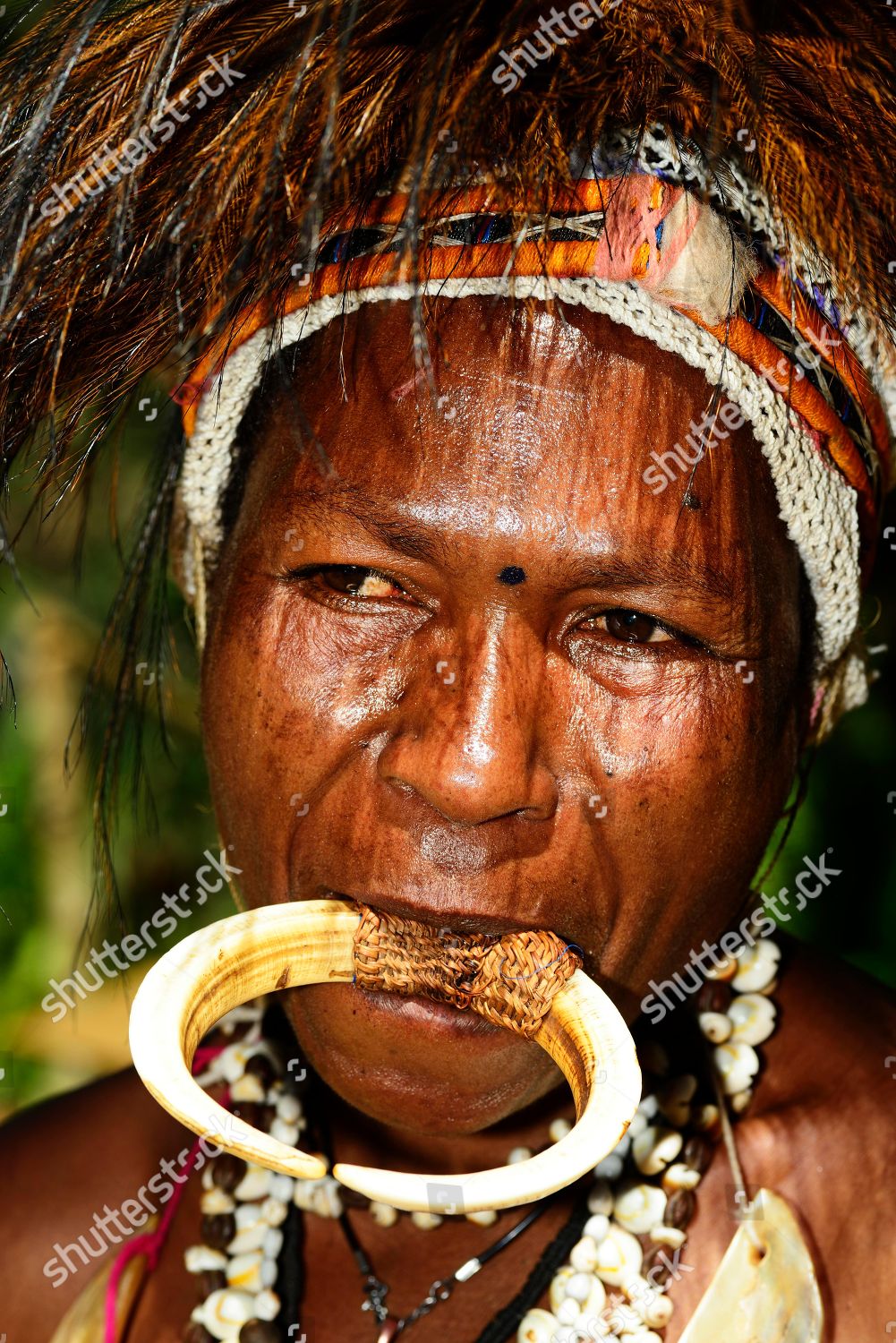 Aboriginal Simbu Tribe Portrait Hagareto Village Editorial Stock Photo ...