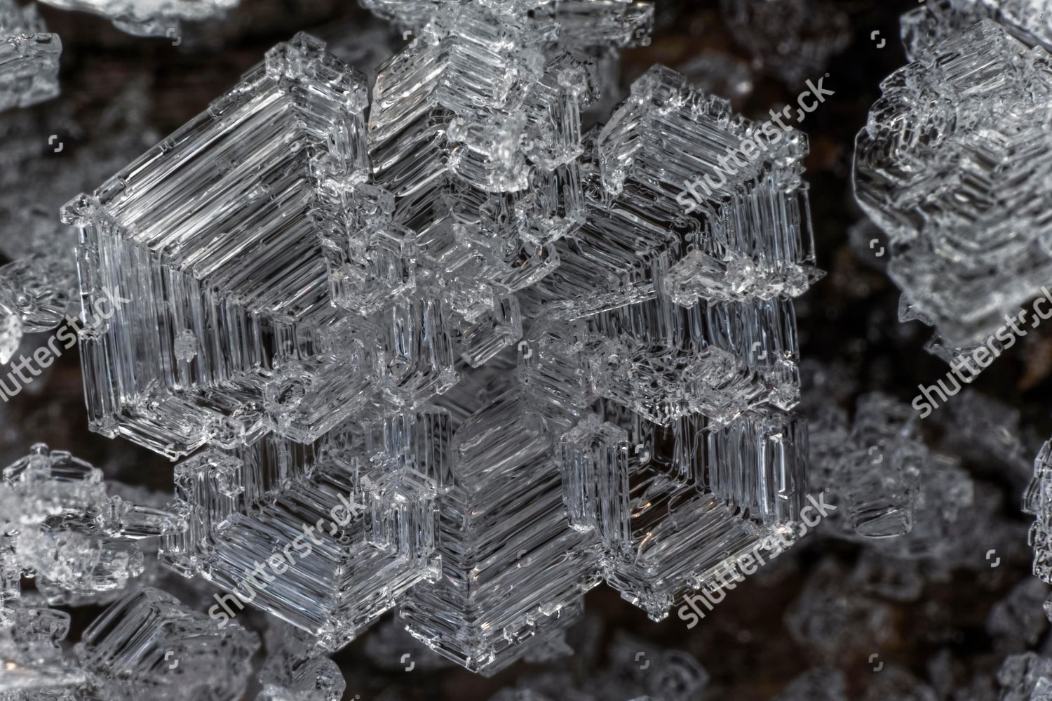 Ice Crystal Structure Black White Image Editorial Stock Photo - Stock ...