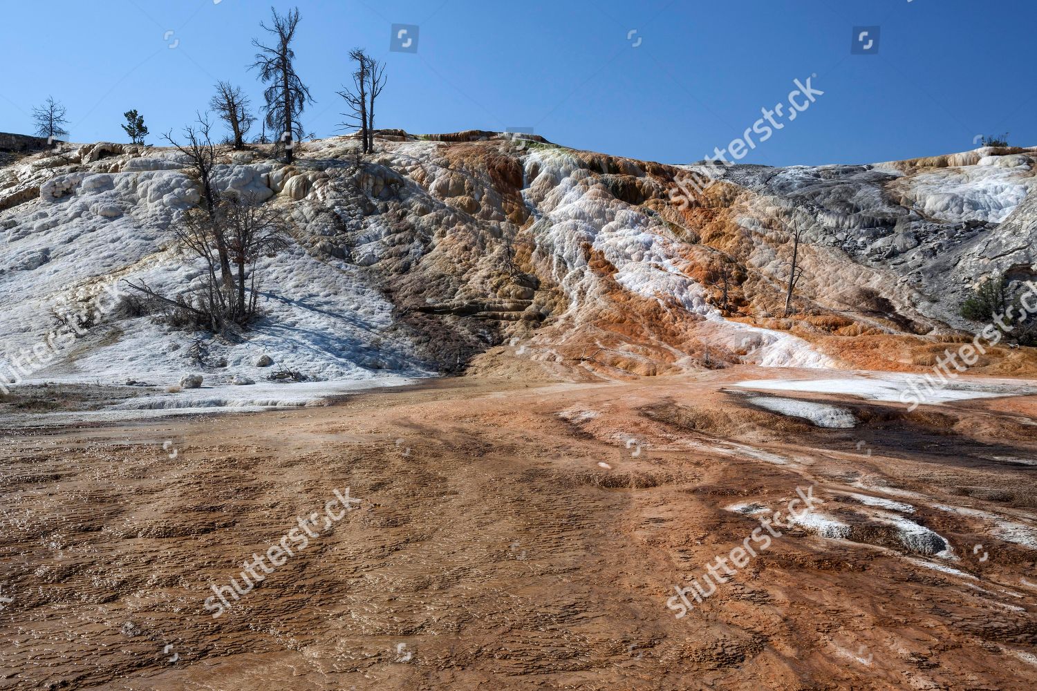 Travertine Terraces Hot Springs Mineral Deposits Editorial Stock Photo ...