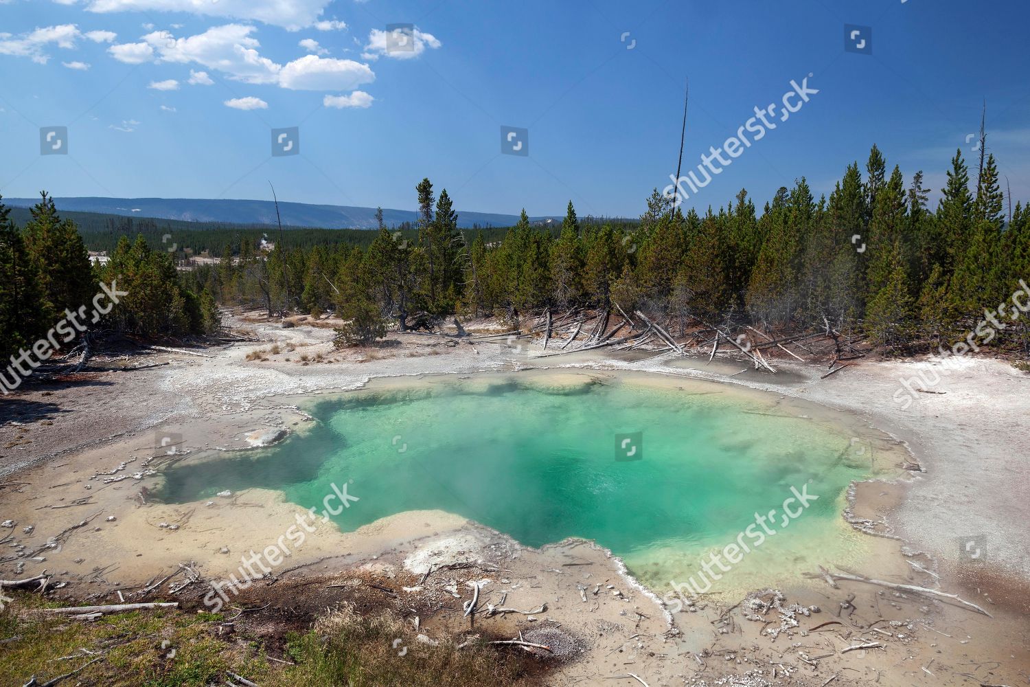 Emerald Spring Back Basin Norris Geyser Editorial Stock Photo - Stock ...