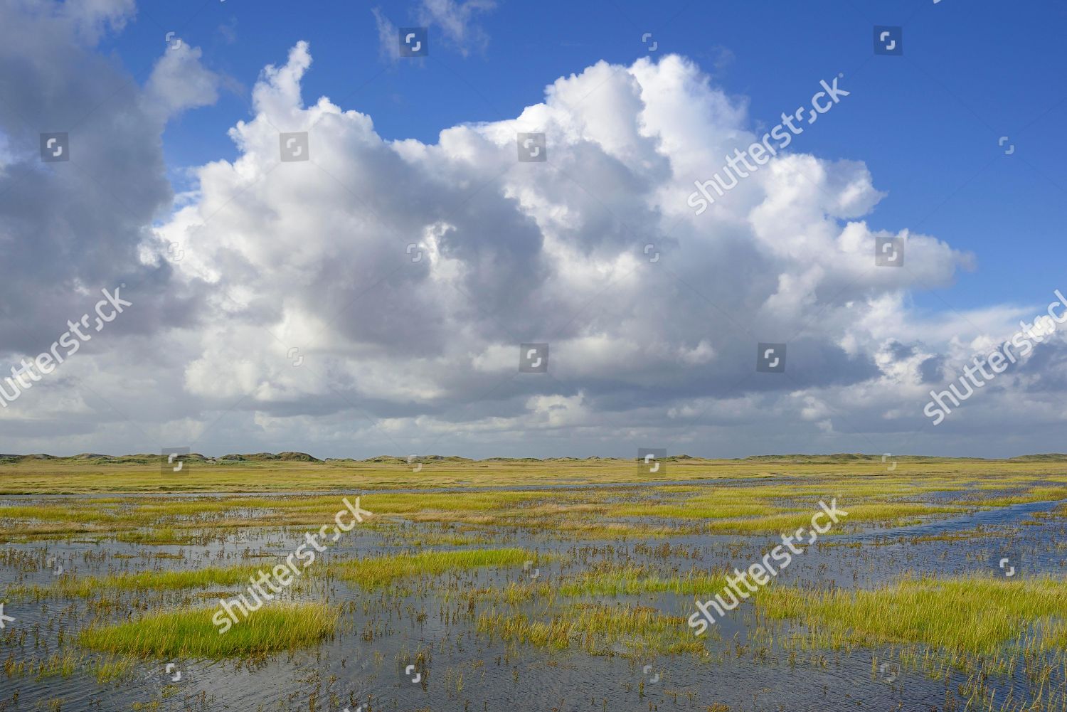Salt Marshes Flooding Tide Withdrawing Cumulus Editorial Stock Photo ...