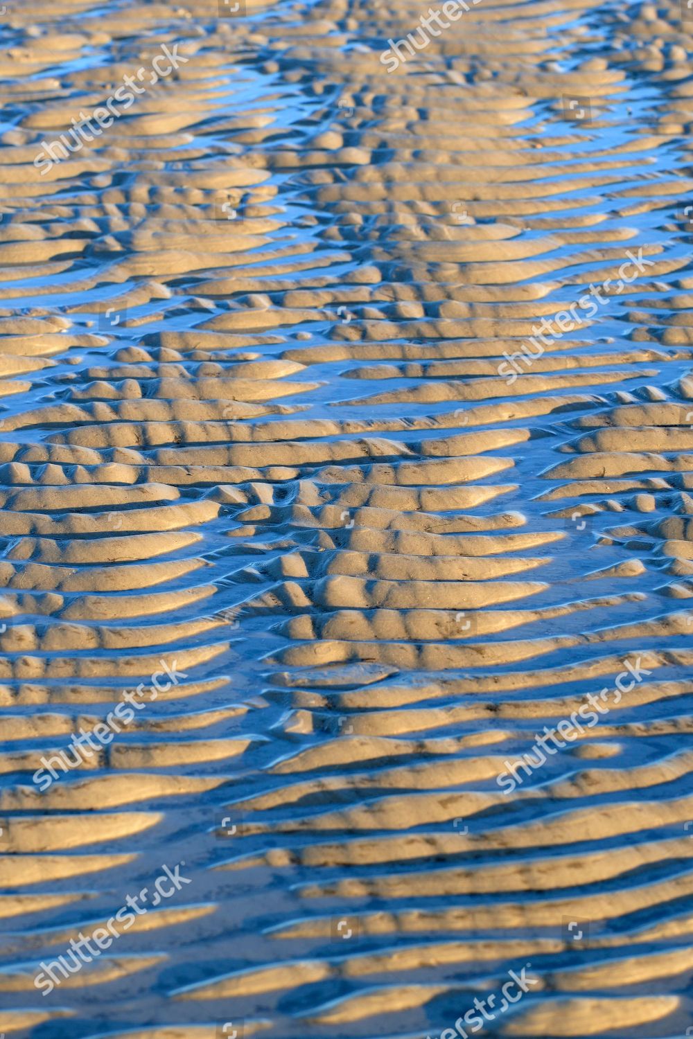 Wavelike Structures Ripples Sand Low Tide Editorial Stock Photo - Stock ...