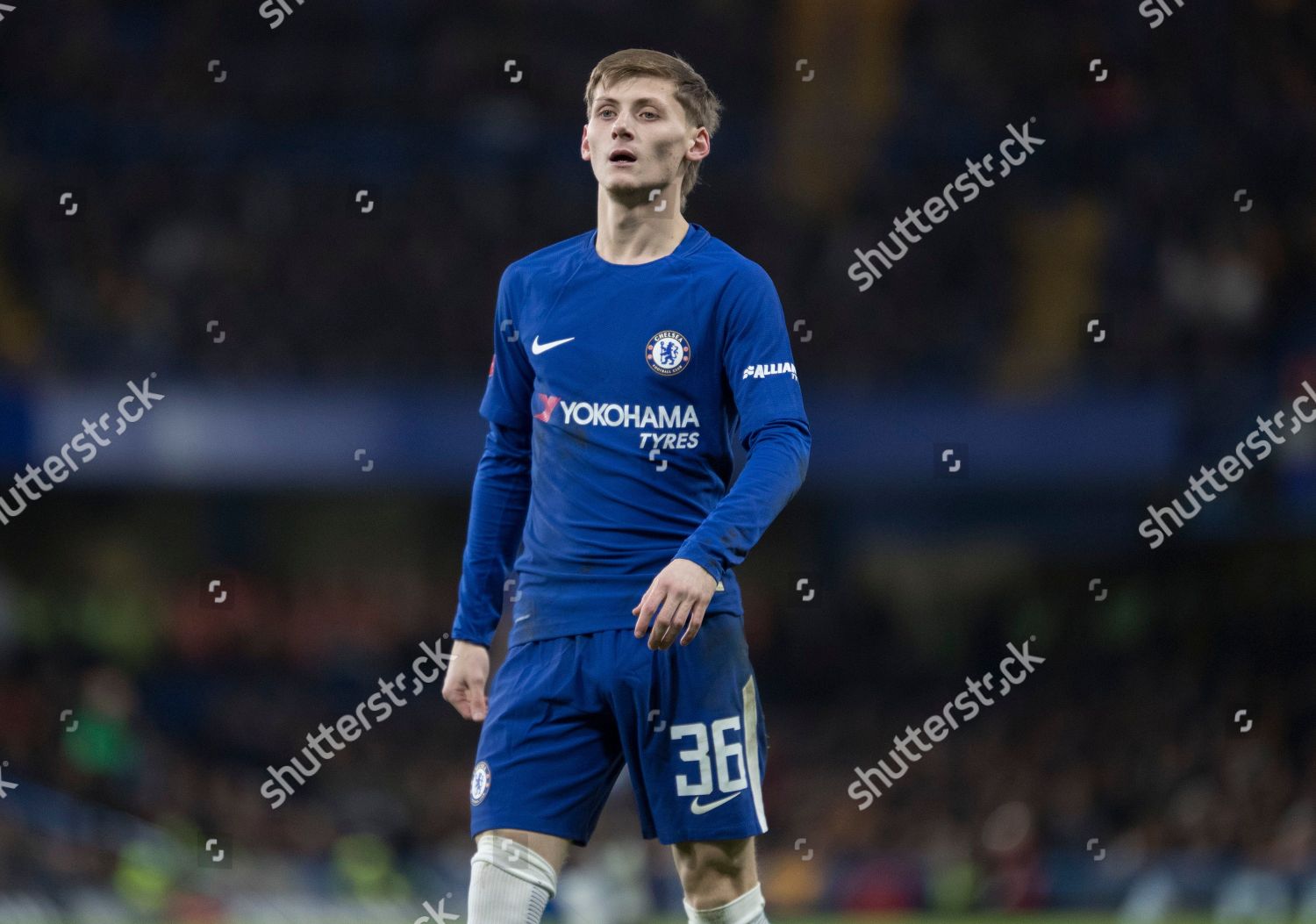 Kyle Scott Chelsea Editorial Stock Photo - Stock Image | Shutterstock