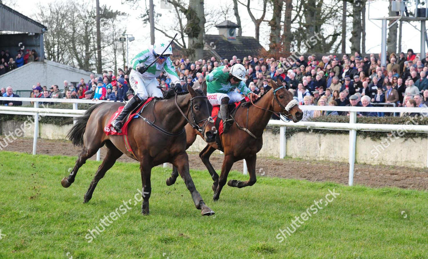 Gowran Park Our Duke Robbie Power Editorial Stock Photo - Stock Image ...