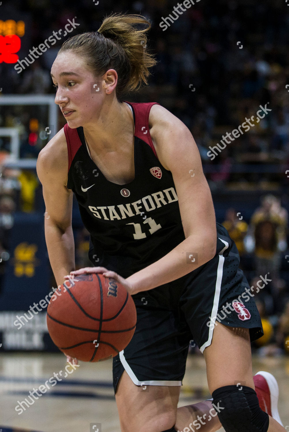Berkeley Ca Usa Stanford Forward Alanna Editorial Stock Photo - Stock ...
