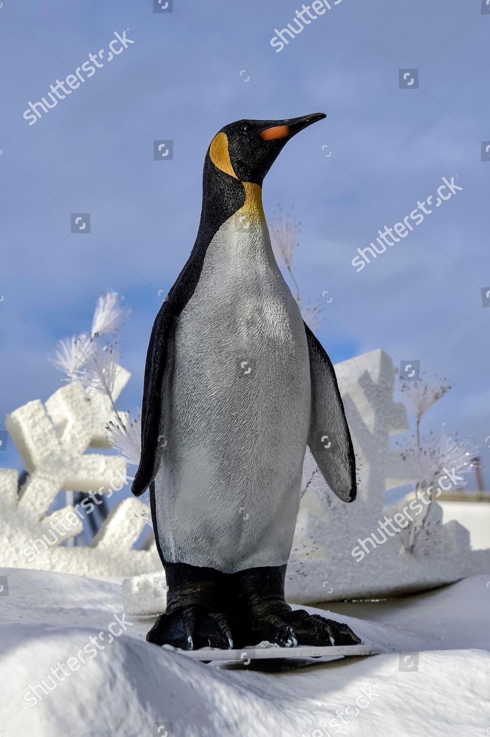 Penguin Winter Landscapepark Rust Badenwuerttemberg Germany Editorial ...