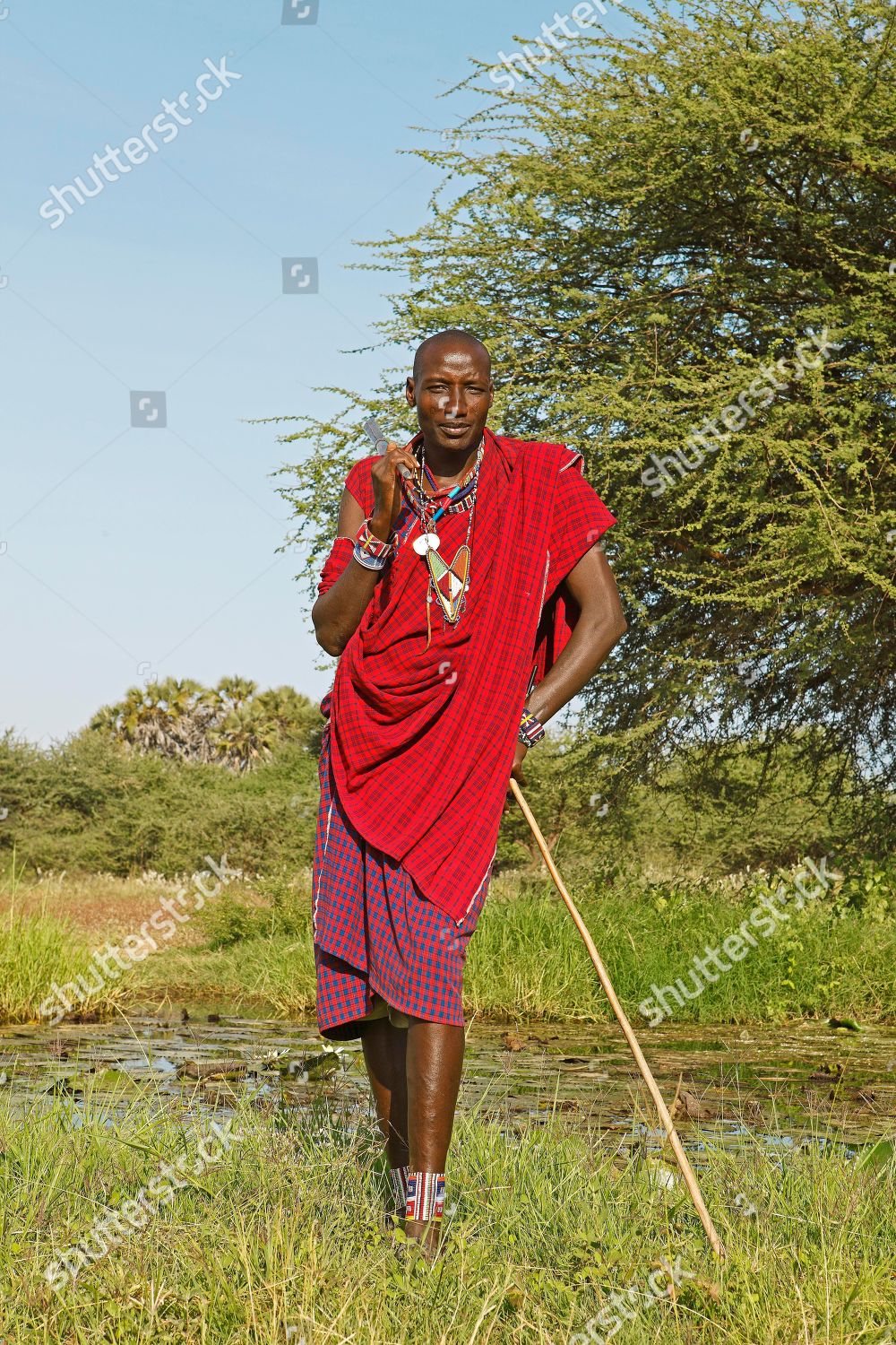 Male Maasai Traditional Shuka Clothing Shepherds Editorial Stock Photo ...