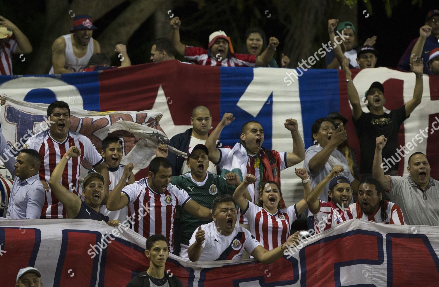 Chivas Fans Celebrate Triumph Their Team Editorial Stock Photo - Stock ...