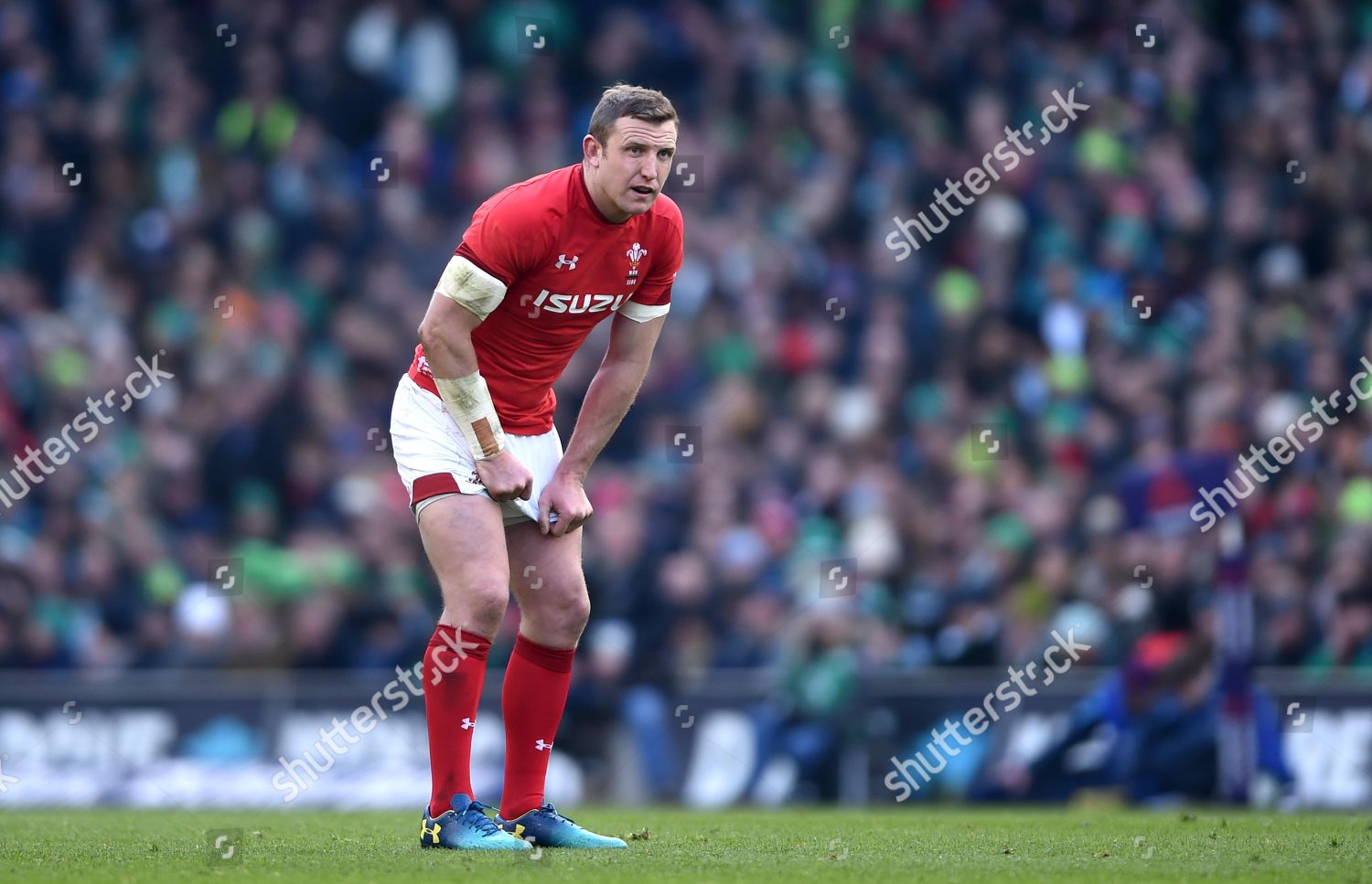 Hadleigh Parkes Wales Editorial Stock Photo - Stock Image | Shutterstock
