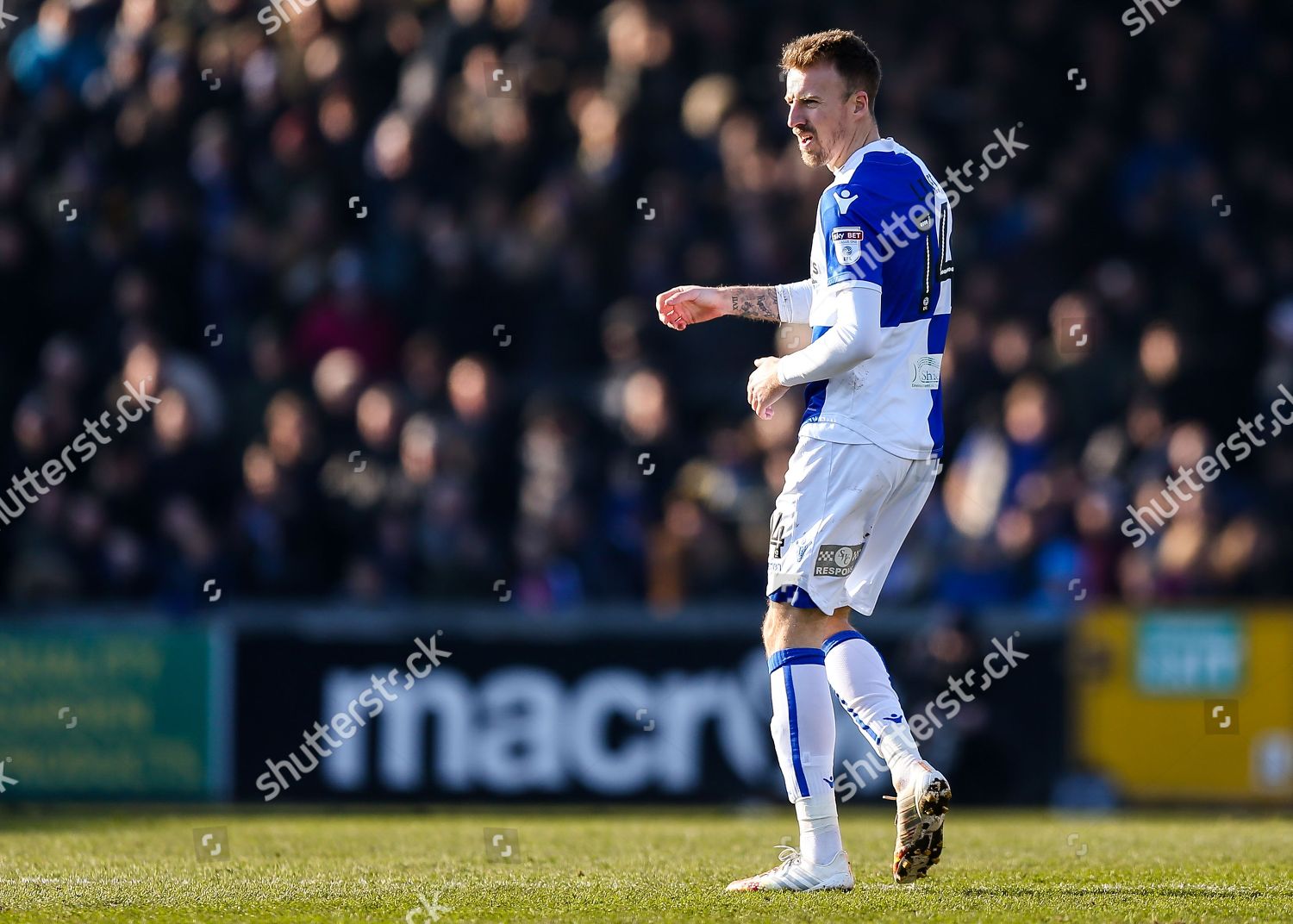 Chris Lines Bristol Rovers Looks On Editorial Stock Photo - Stock Image ...