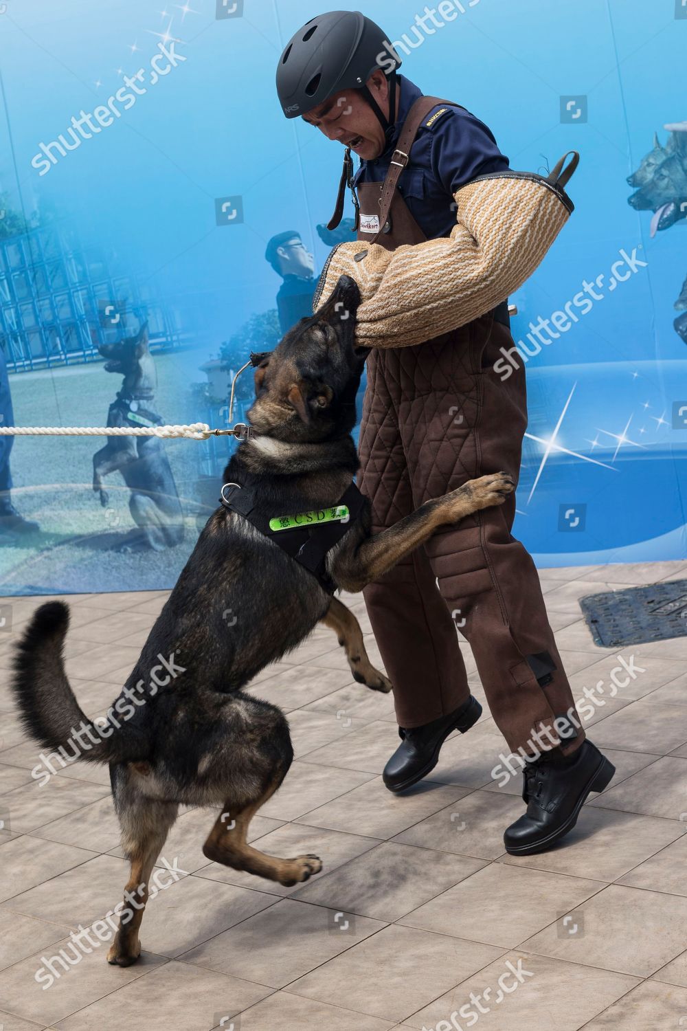 Hong Kong Correctional Services Dog Unit Editorial Stock Photo - Stock ...