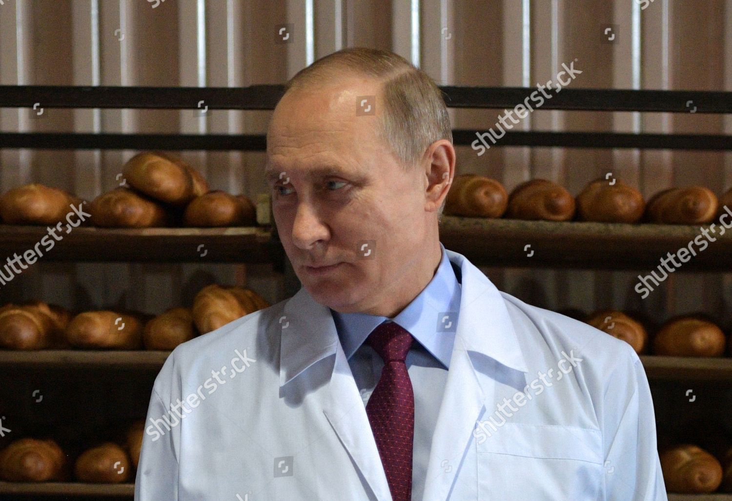 Vladimir Putin Editorial Stock Photo - Stock Image | Shutterstock